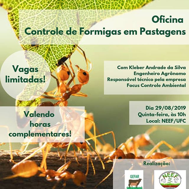 Oficina de Controle de Formigas em Pastagens. – Grupo de Estudos em ...